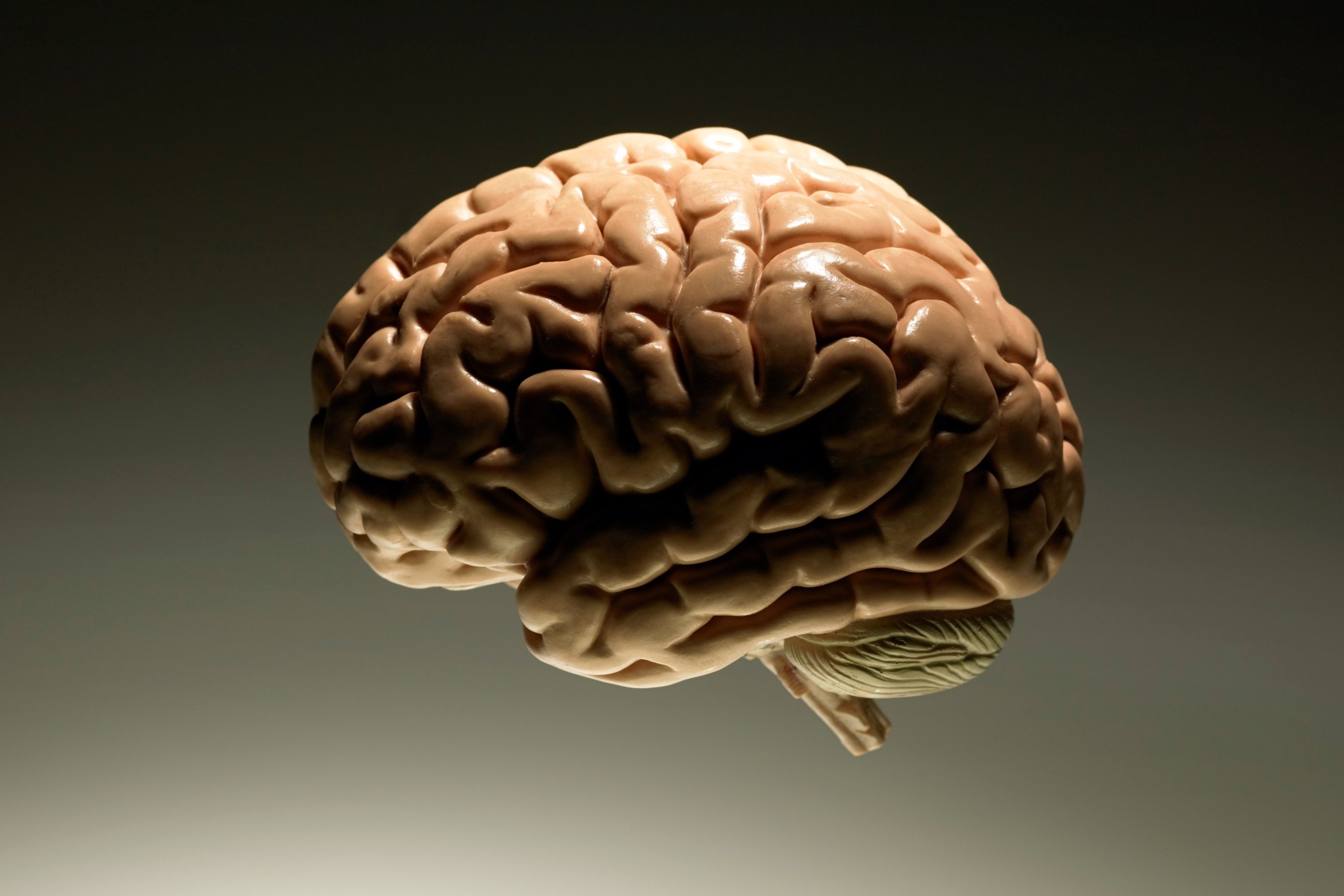 How To Get A Natural High Without Drugs or Alcohol | Avenues Recovery